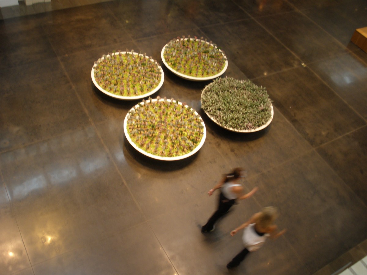 Published in Landscape Architecture Magazine – Adam Regn Arvidson